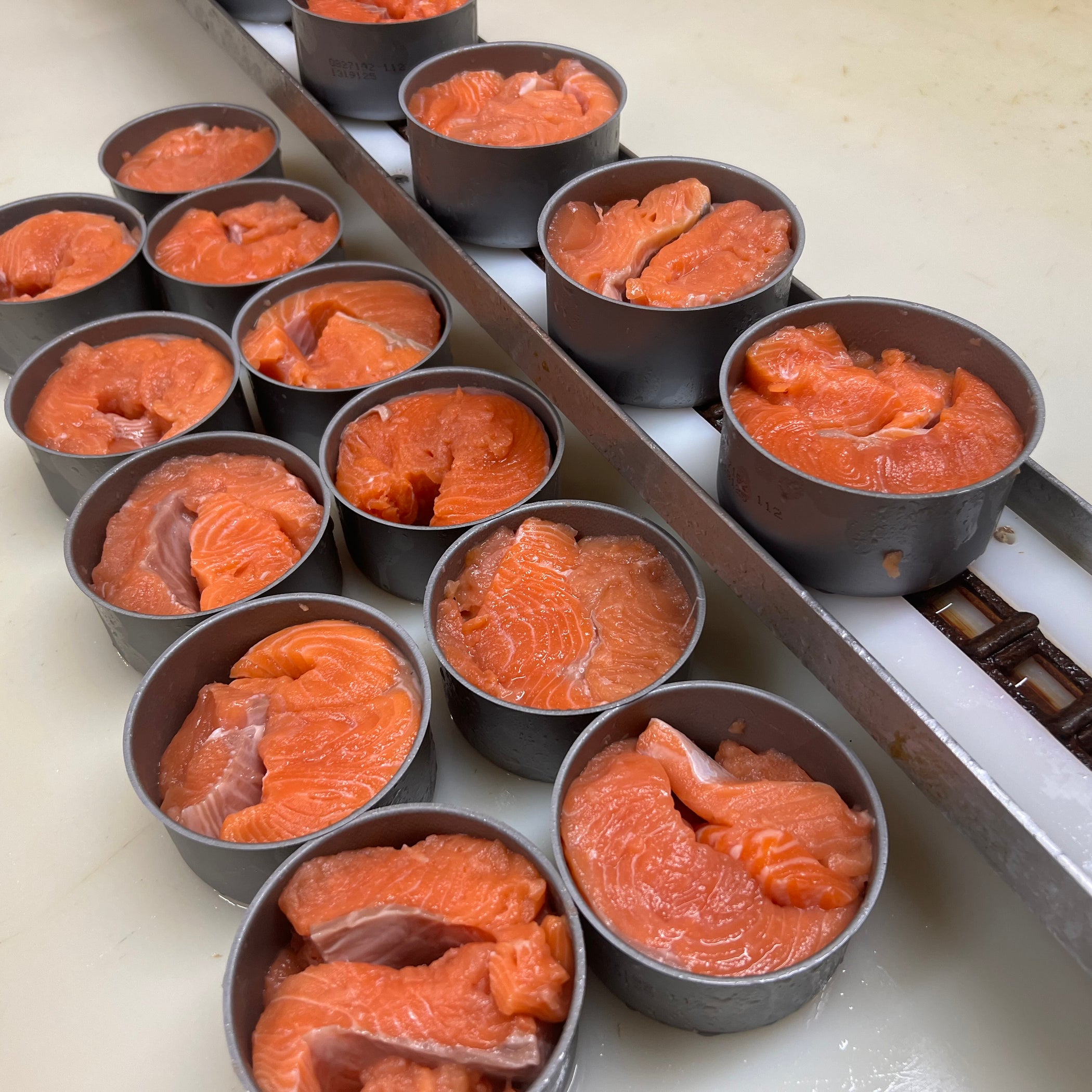 Photo Gallery – Bell Buoy