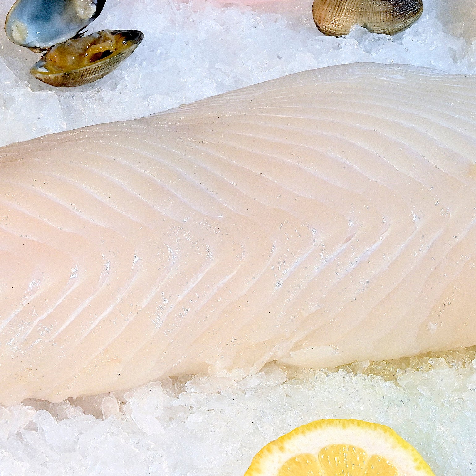 Fresh Seafood – Bell Buoy