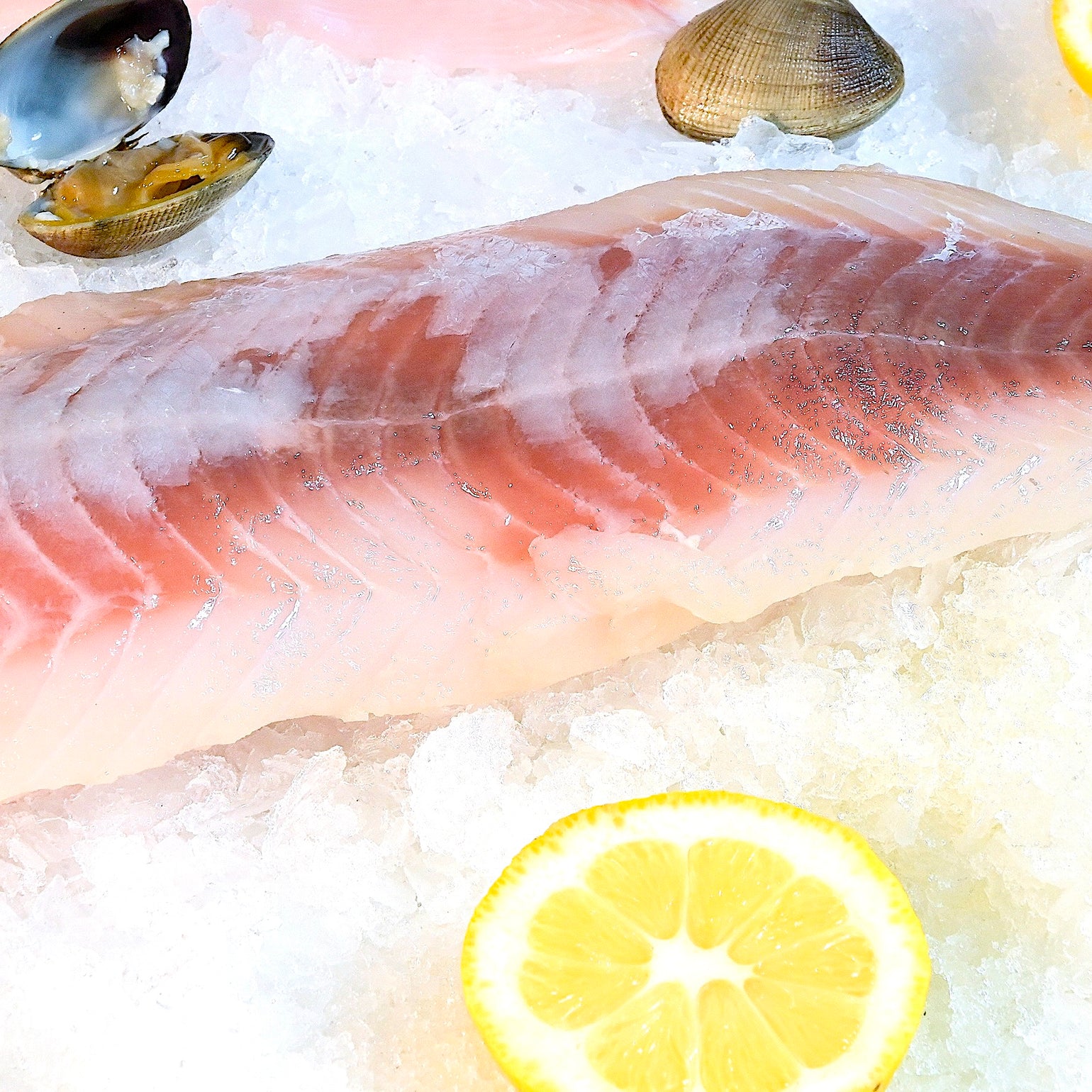 Oregon Seafood – Bell Buoy