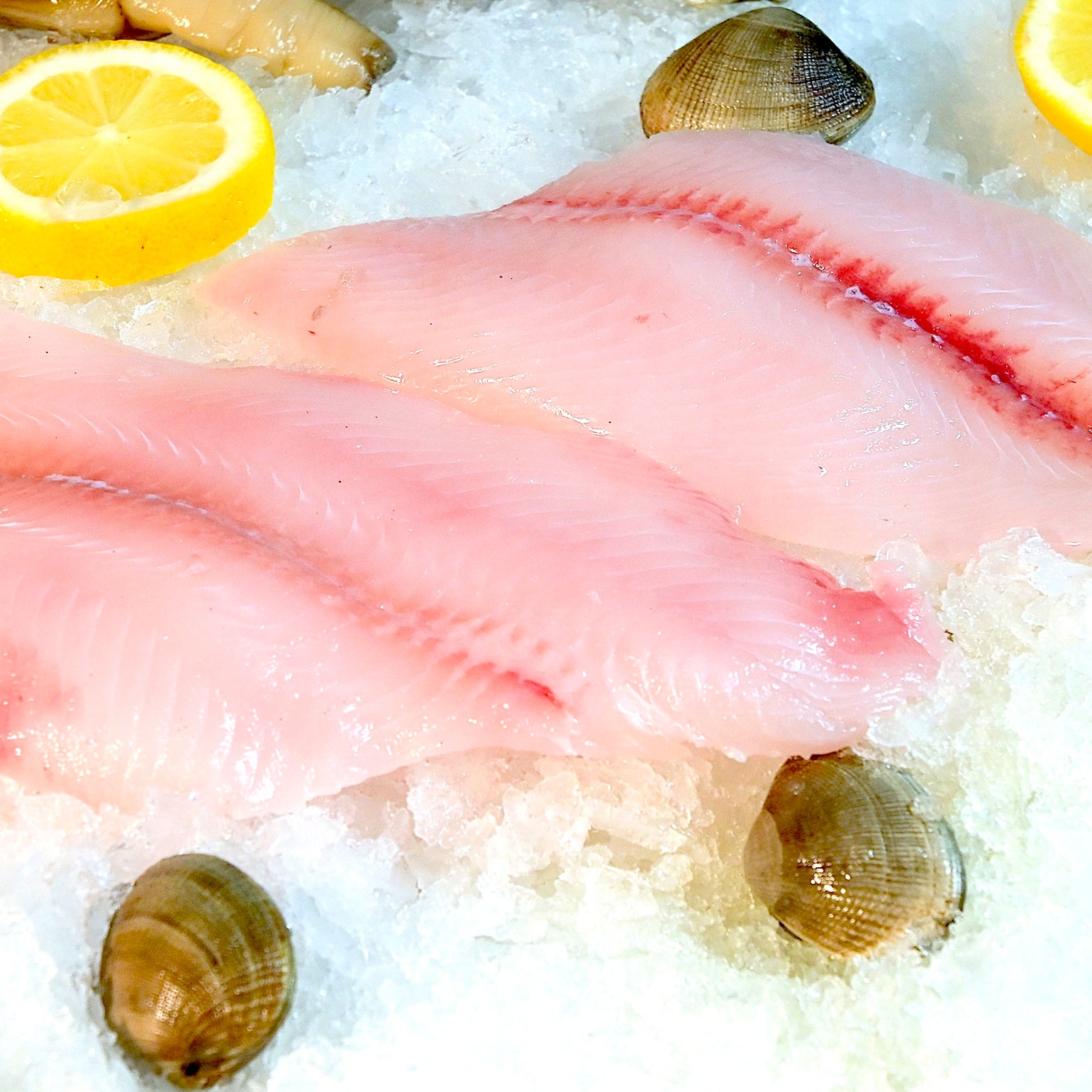 Photo Gallery – Bell Buoy