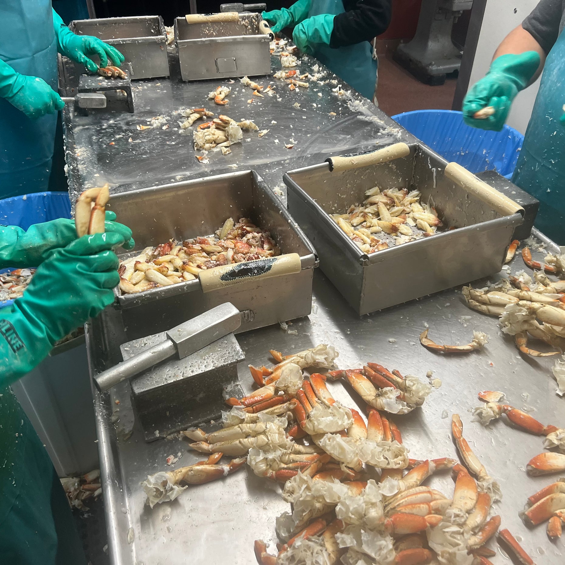 Photo Gallery – Bell Buoy