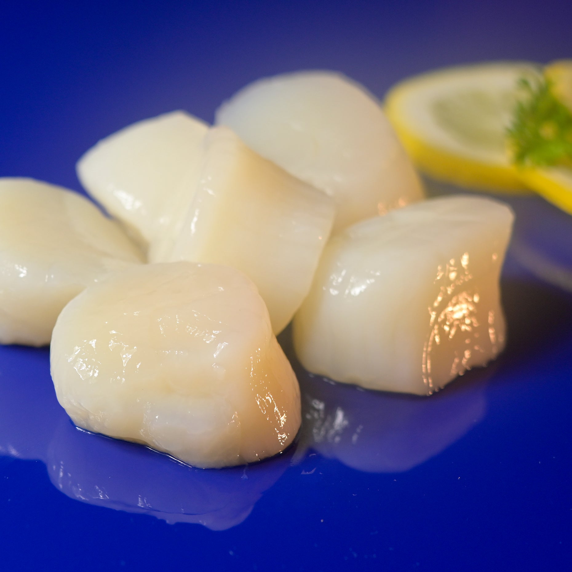 Fresh Seafood – Bell Buoy