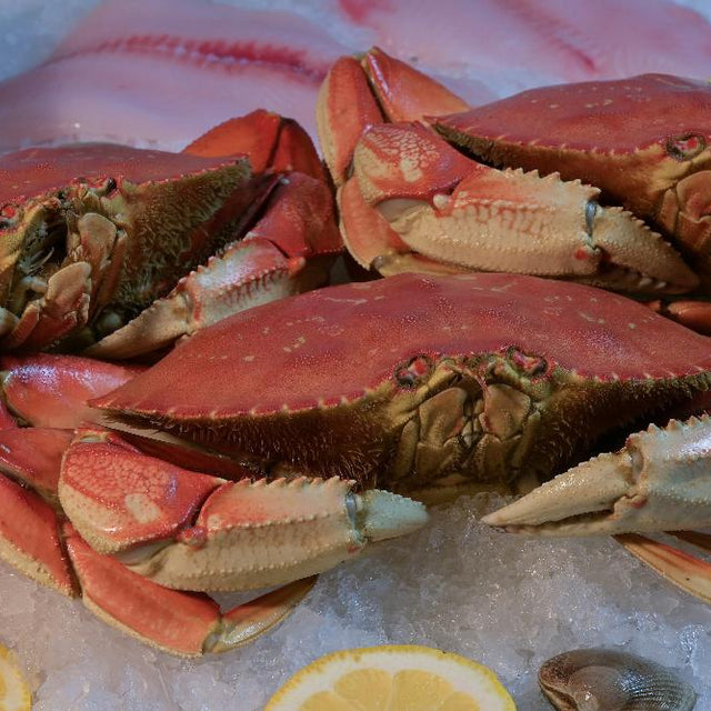 Photo Gallery – Bell Buoy